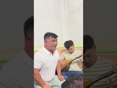 🎵 Jan Dadam — Uyghur Music | Уйгурская песня ❤️