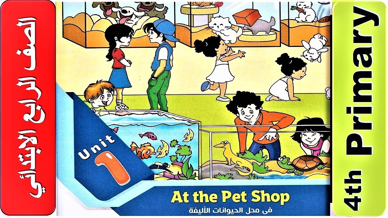 Primary 4 - Unit 1 - YouTube