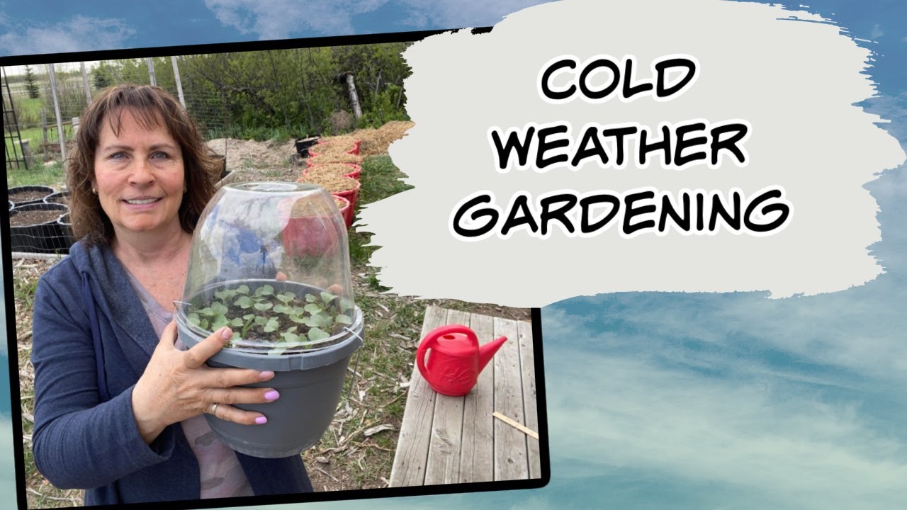 Gardening in Cold Conditions - Gardening Tips During a Cold Spring ...