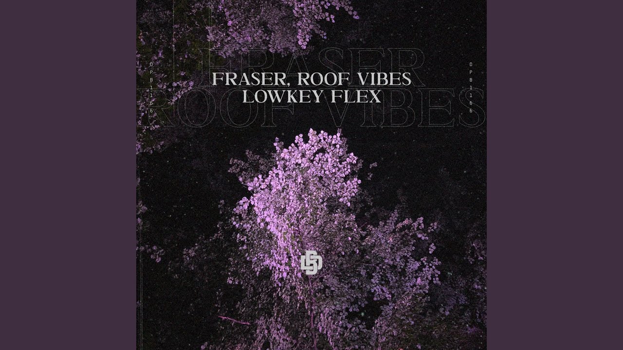 Lowkey Flex (Extended Mix) - YouTube