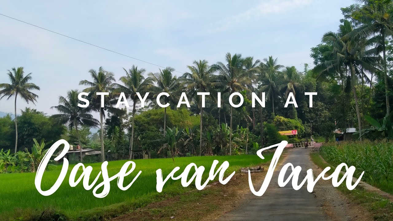 Staycation at Oase Van Java, Dusun Karangpandang, Banyubiru - YouTube