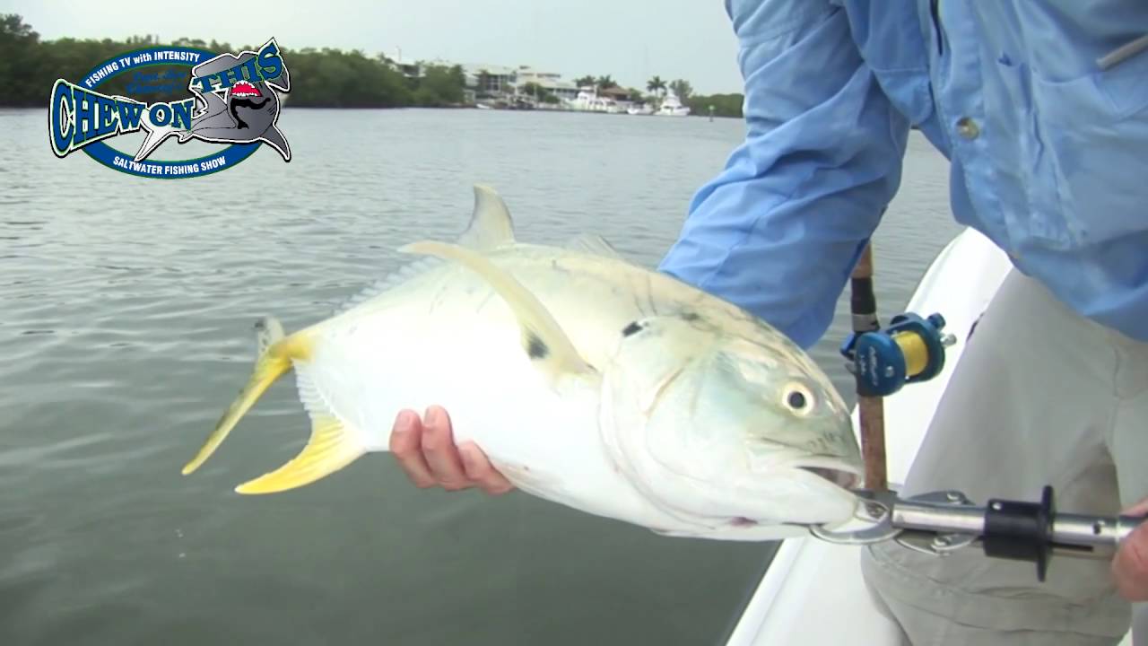 Fishing Frenzy - Gulf of Mexico Fishing - Jack Crevalle Pesca - Canal ...