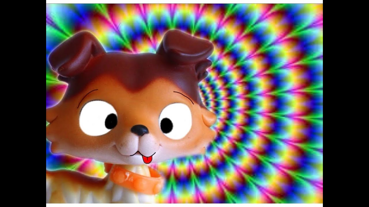 LPS: Sage's Diary (For sophiegtv) - YouTube