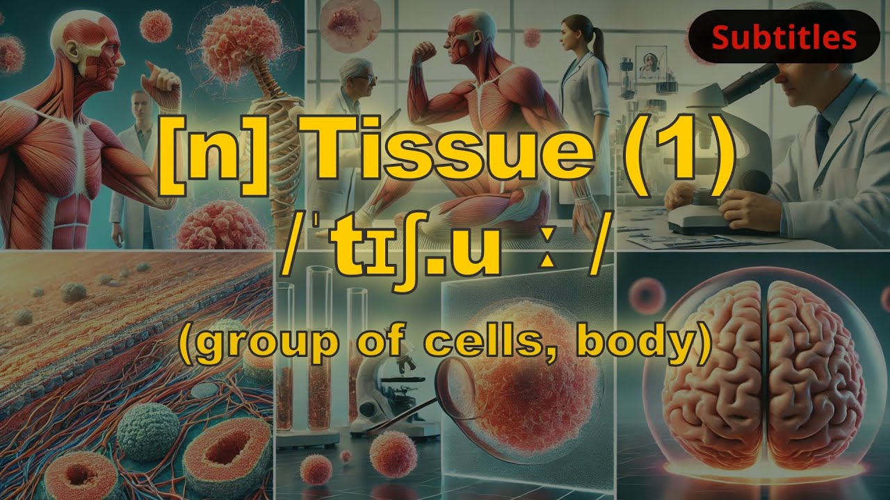 [n] Tissue meaning (group of cells, body) with 5 examples - YouTube