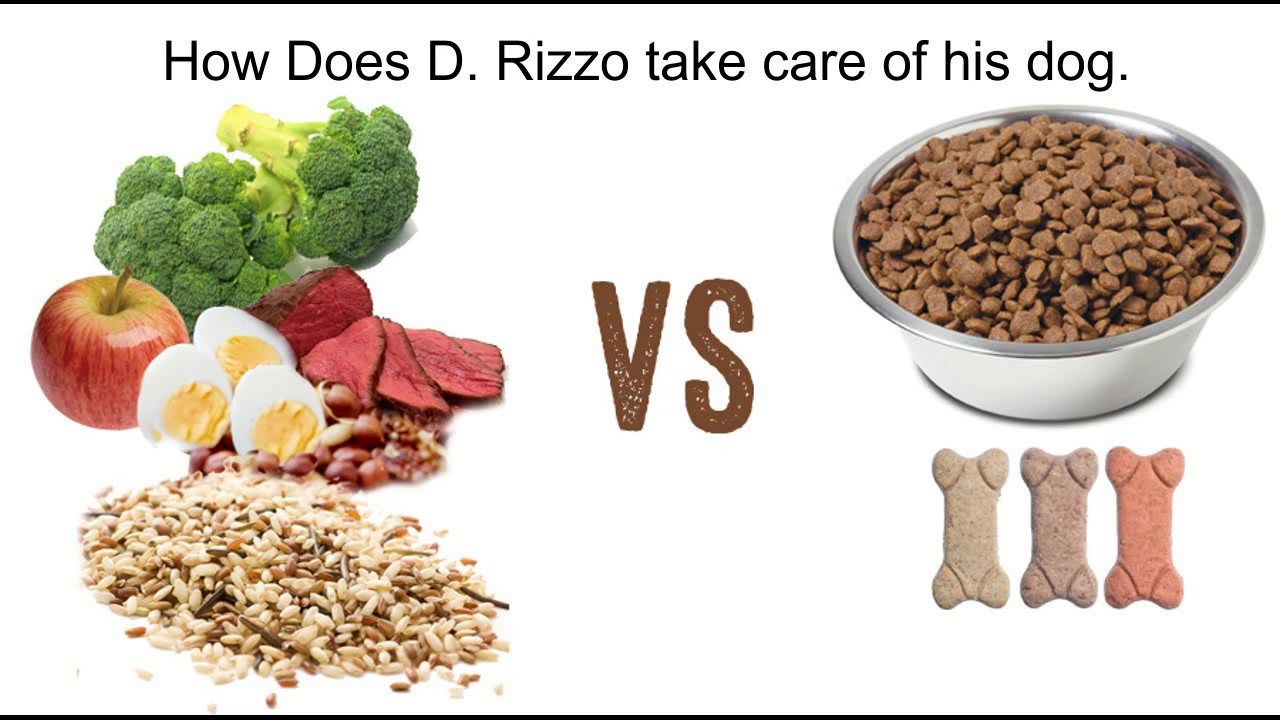 True Freeman Dog Food Challenge - YouTube
