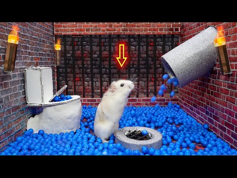 Hamster: The Last Airbender 🐹 Prison Escape
