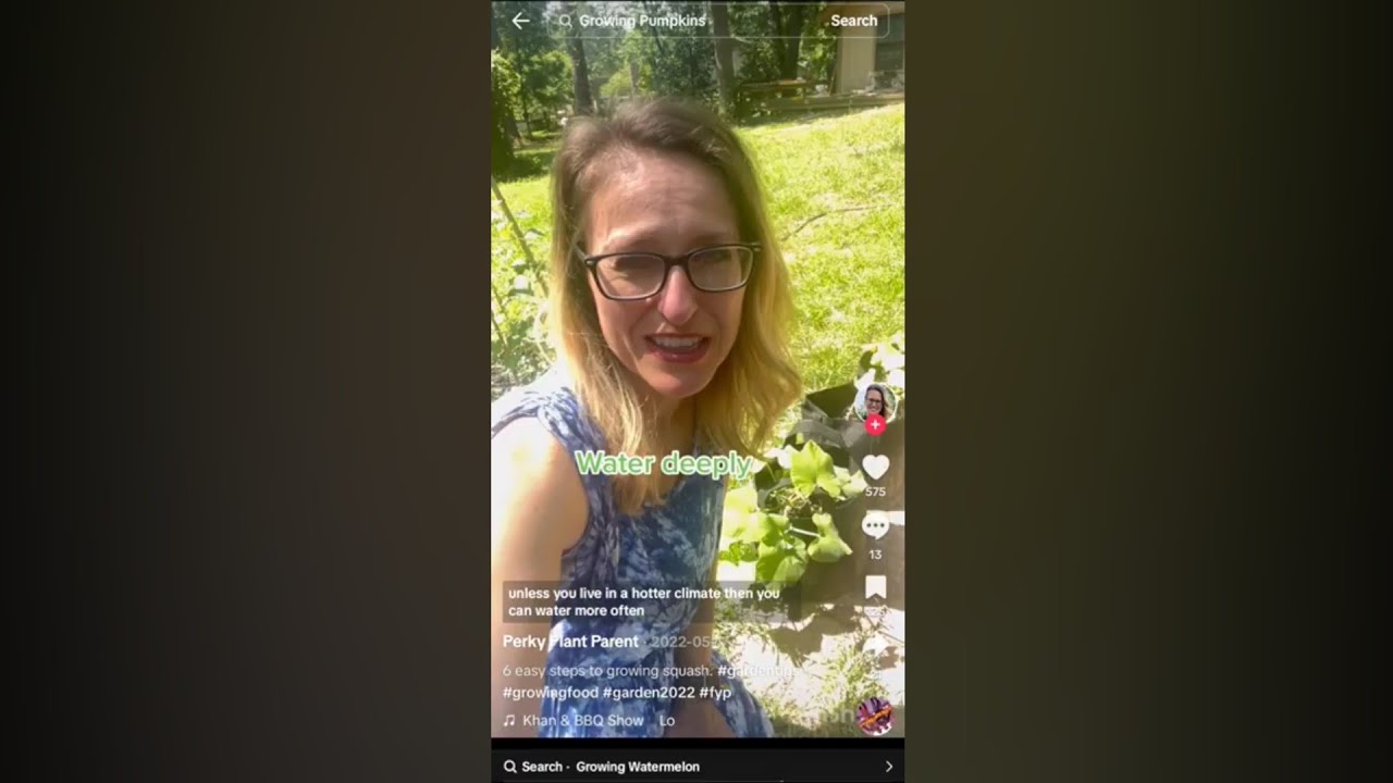 how to grow squash diy grow tok growing guide garden vegetable fruit ...