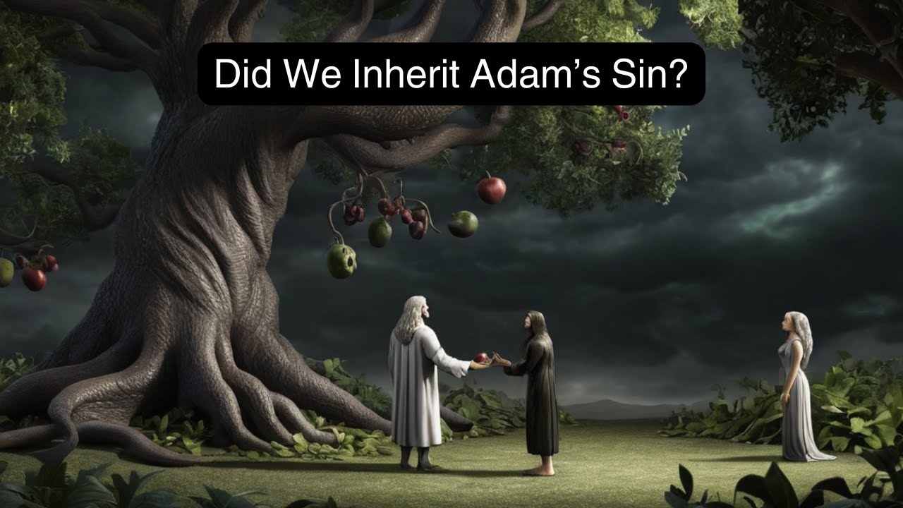 Systematic Theology Class 32 Inherited Sin - YouTube