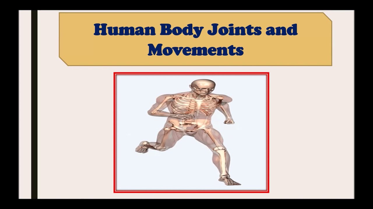 Human body Joints and Movements - YouTube