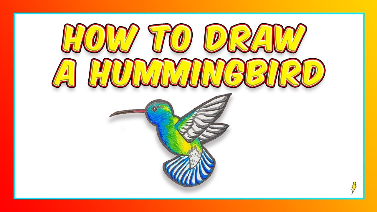 How to Draw a Hummingbird | Easy - YouTube