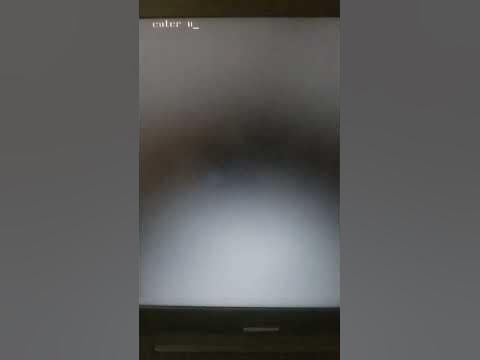 Sum of array elements in C programming ️#shorts #coding #trending #bca #cprogramming #ai #coder ...