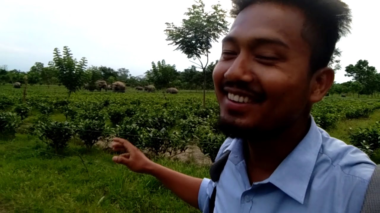 Samrang road - YouTube