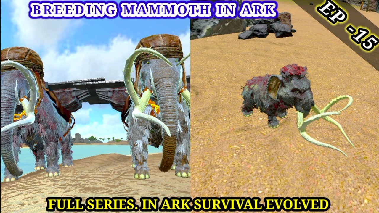 BREEDING MAMMOTH AND IMPRINTING 100% IN ARK SURVIVAL EVOLVED (EP-15 ...