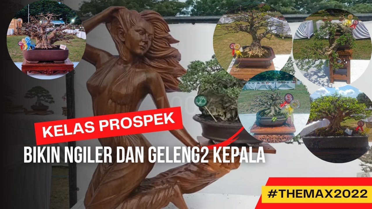 NGERI.BONSAI KELAS PROSPEK KONTES BONSAI THE MAX 2022 - YouTube
