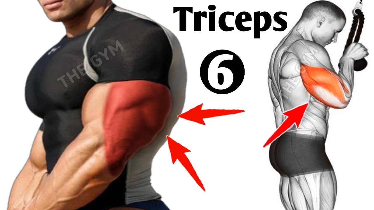 6 Muscle growth triceps exercises ( fastest ) - YouTube