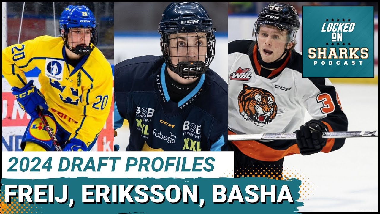 2024 NHL Draft Profiles: Alfons Freij, Linus Eriksson, Andrew Basha ...