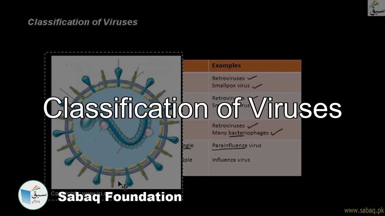 Classification of Virus, Biology Lecture | Sabaq.pk - YouTube