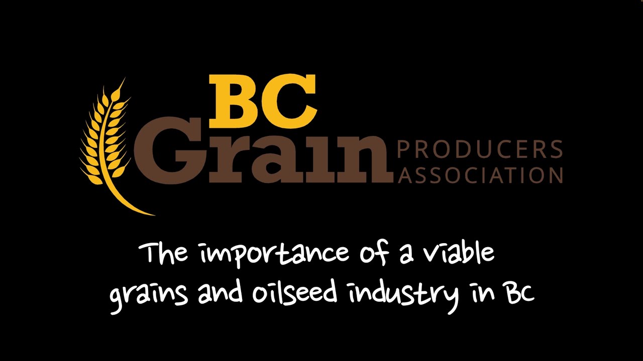 BC Grain Importance of a viable Grain industry - YouTube