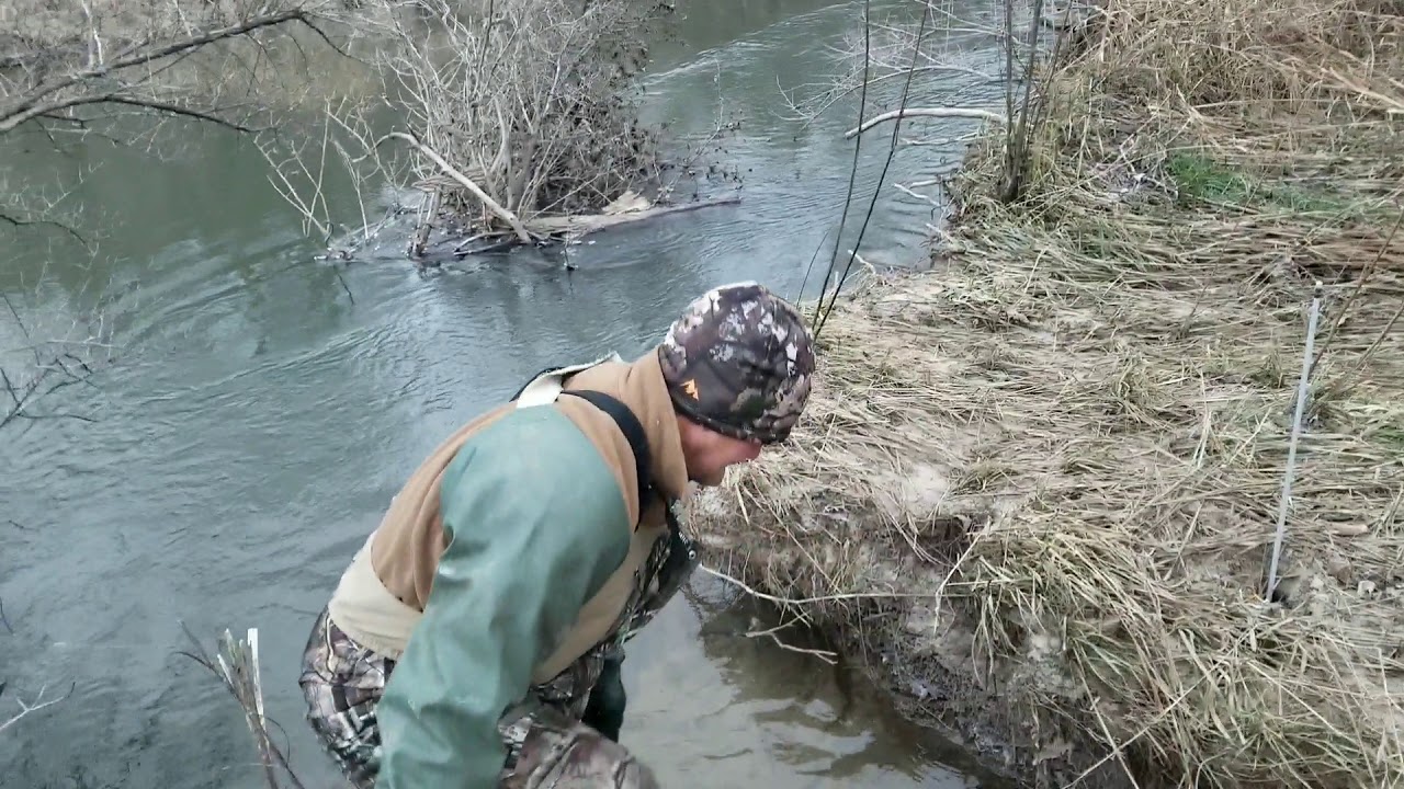 Beaver Trapping Wisconsin with surprise catch - YouTube