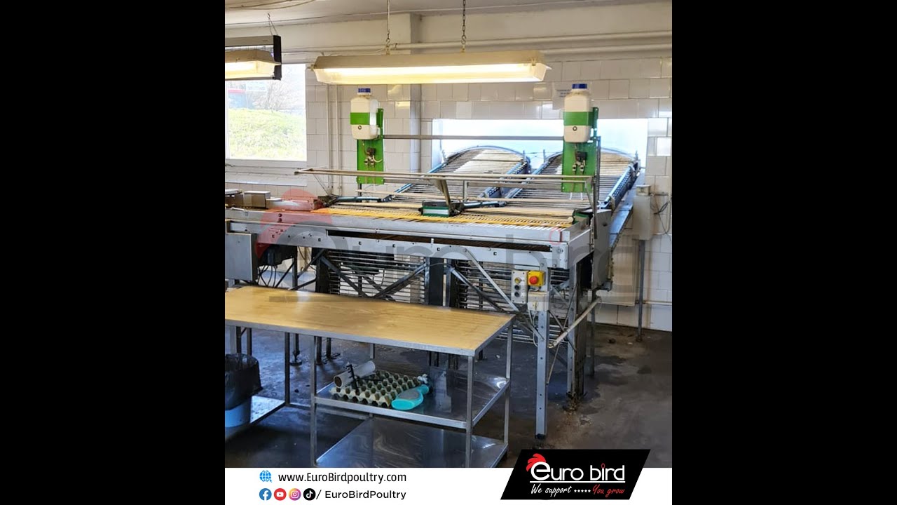 ماكينة فرز وتدريـج البيض (موبـا الهولندية) - Egg grading machine MOBA ...