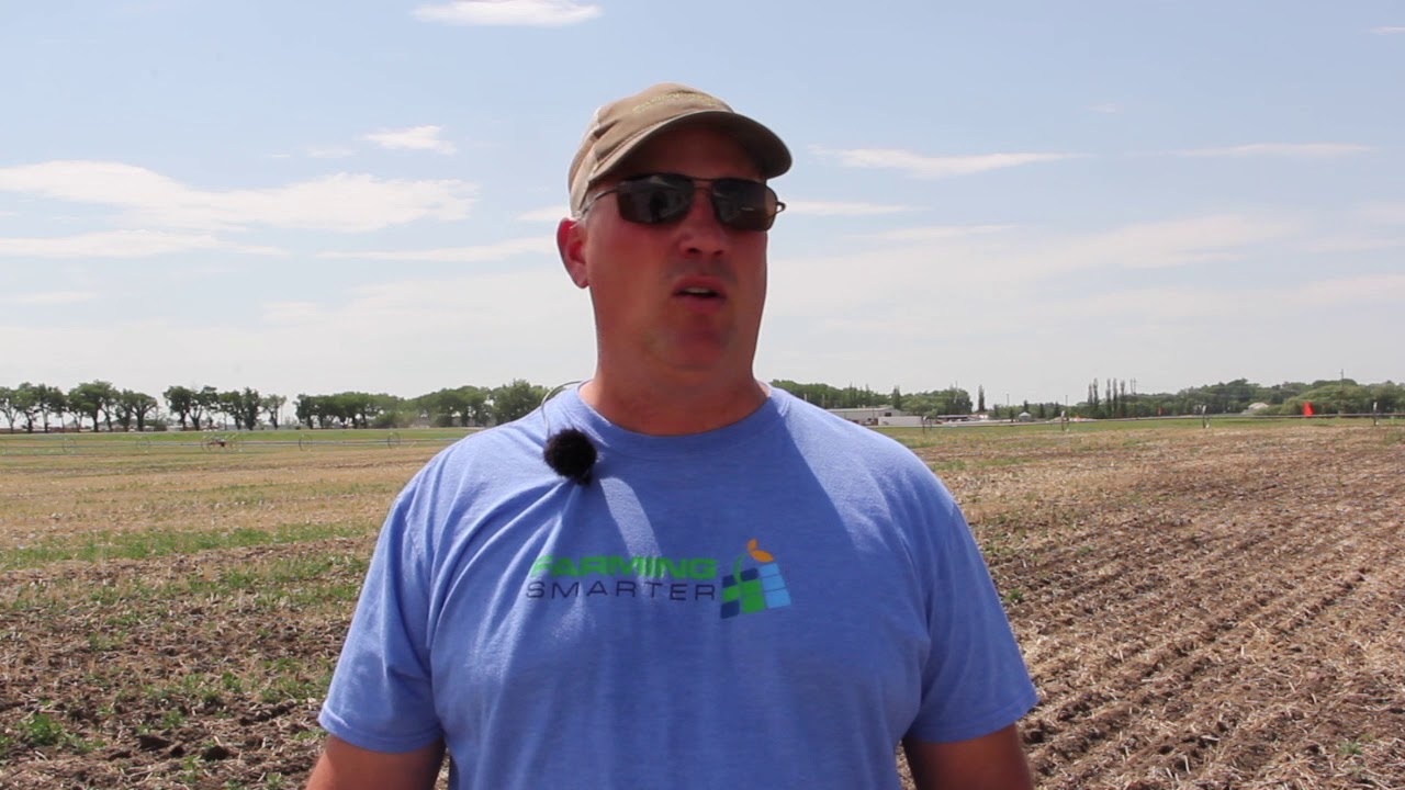 Switch up your fertilizer routine with deep banding - YouTube