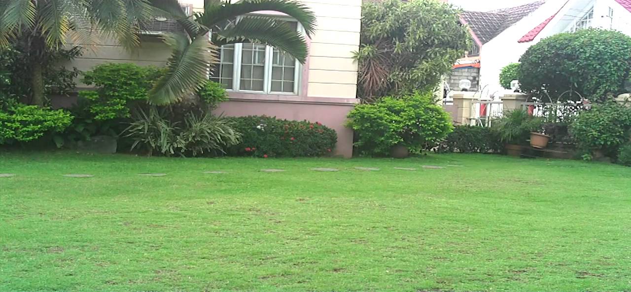 MSR: Phase Lock Flybar Hub Mod - Outdoor 3 - YouTube