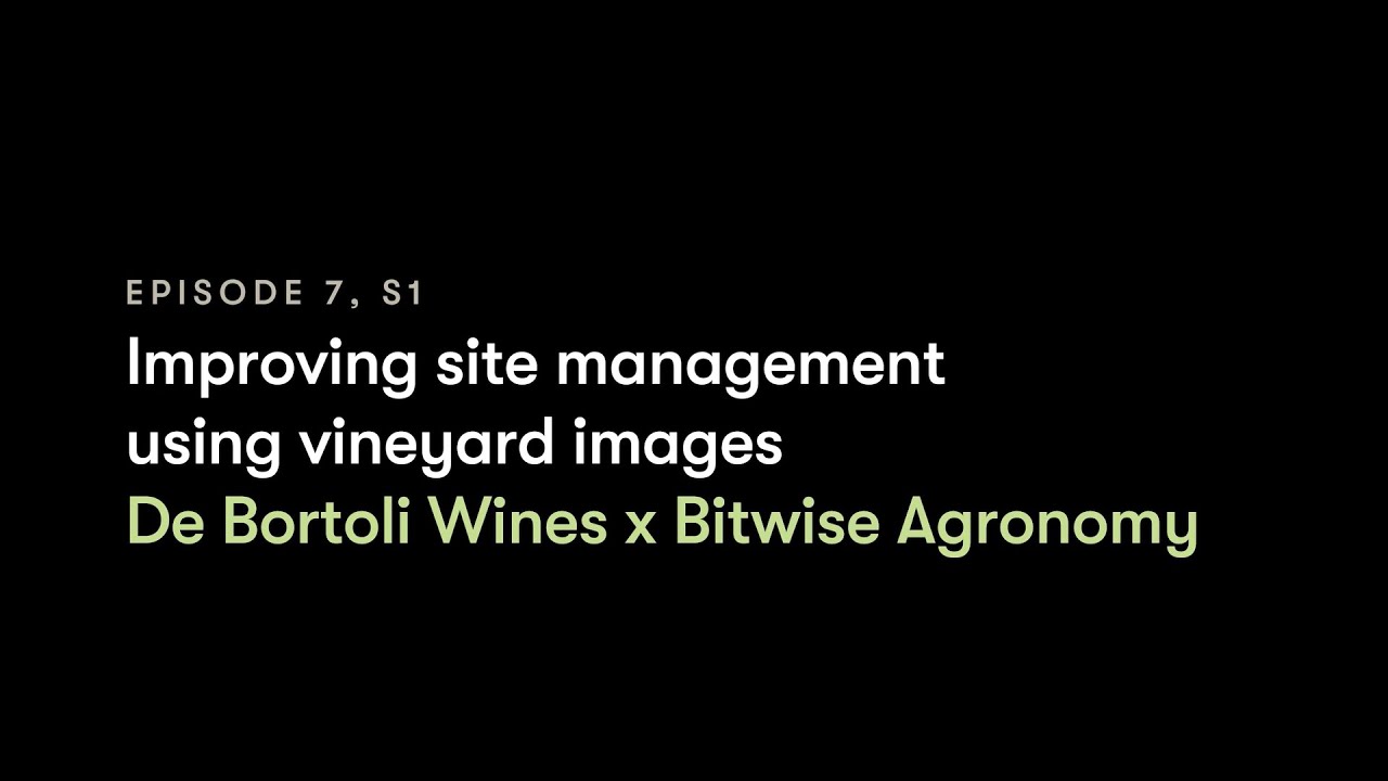 De Bortoli Wines x Bitwise Agronomy: Improving site management using vineyard images - YouTube
