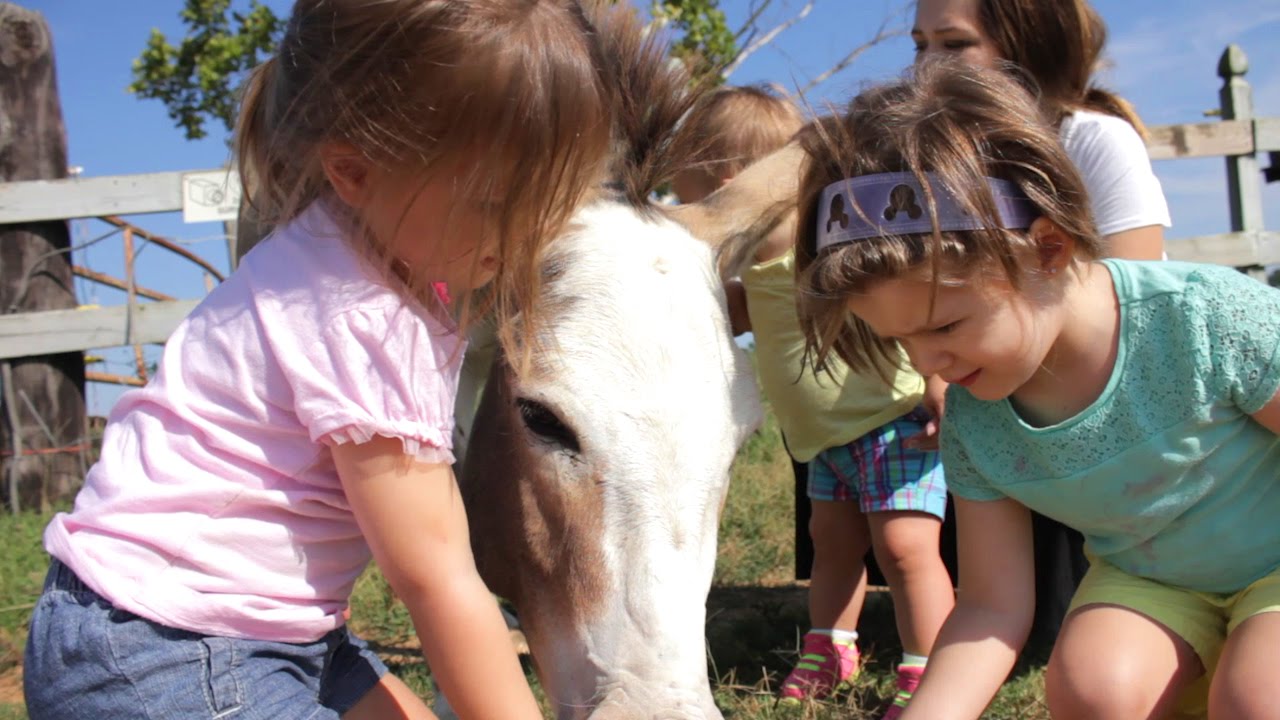 A DAY AT THE FARM! - YouTube