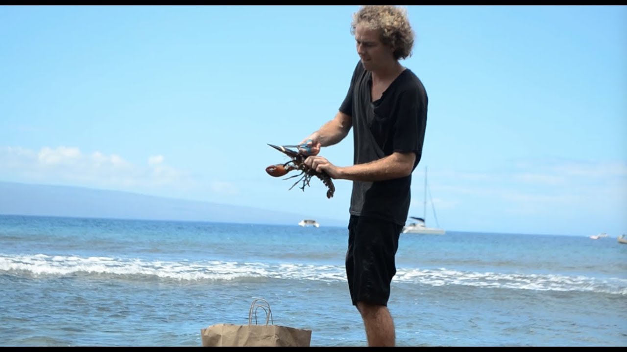 Setting the lobsters free - YouTube
