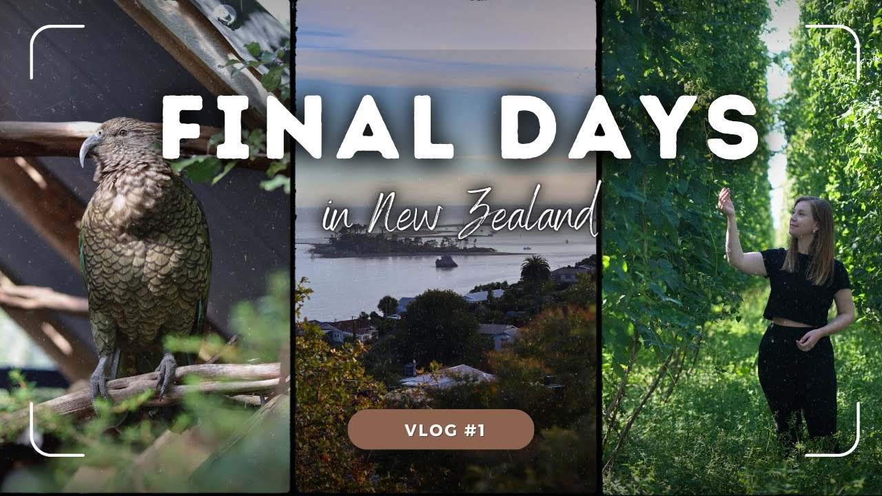 our last week in Nelson, New Zealand (viewpoints, natureland, mapua ...