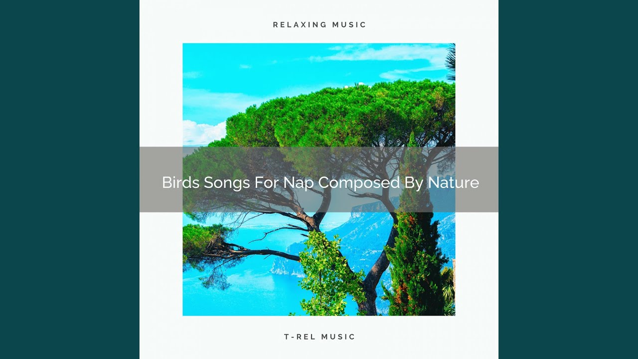 Sea With Bird Tweets, Wild River And Sounds Of Wilderness - YouTube Music