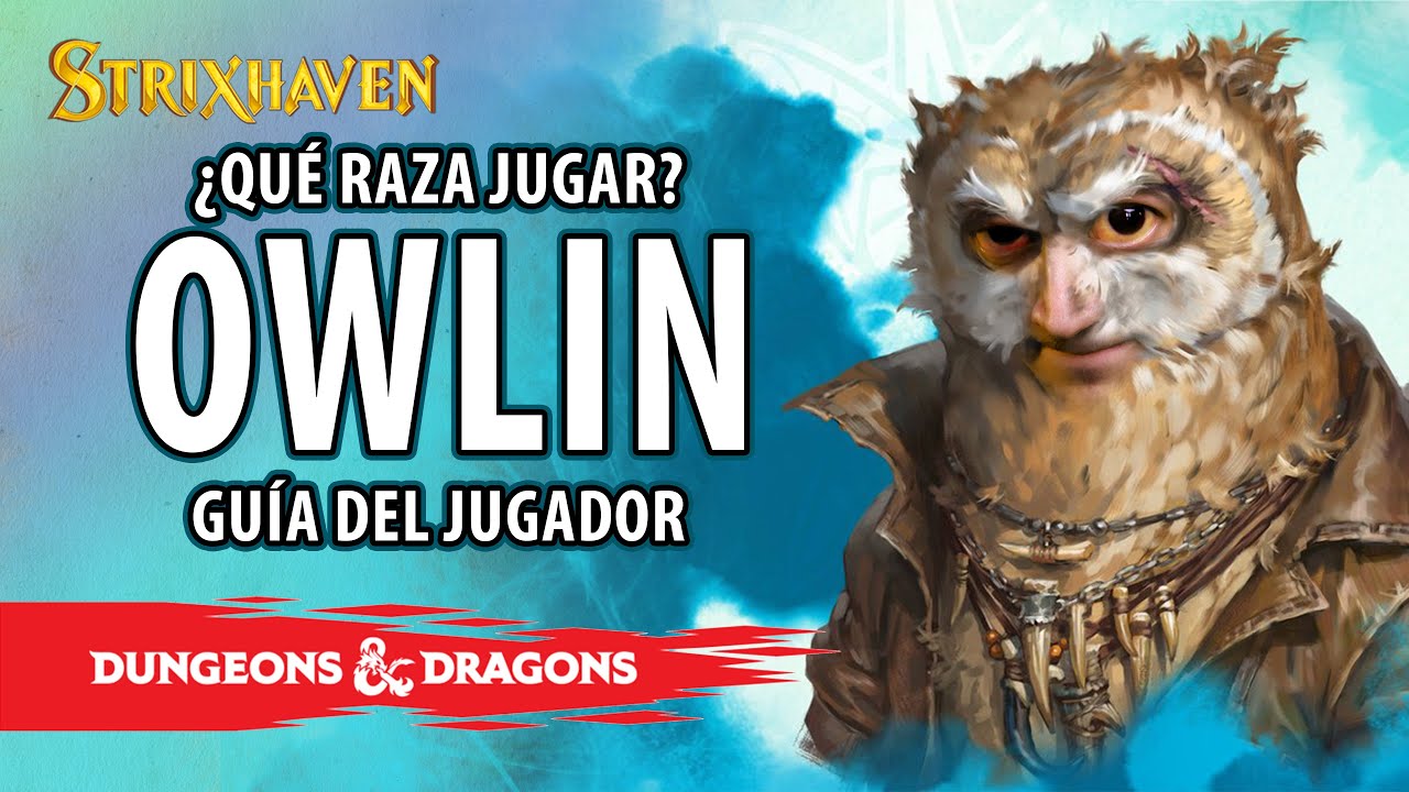 ¿QUÉ RAZA JUGAR? (OWLIN) Dungeon & Dragons - Strixhaven | Guía de Razas ...