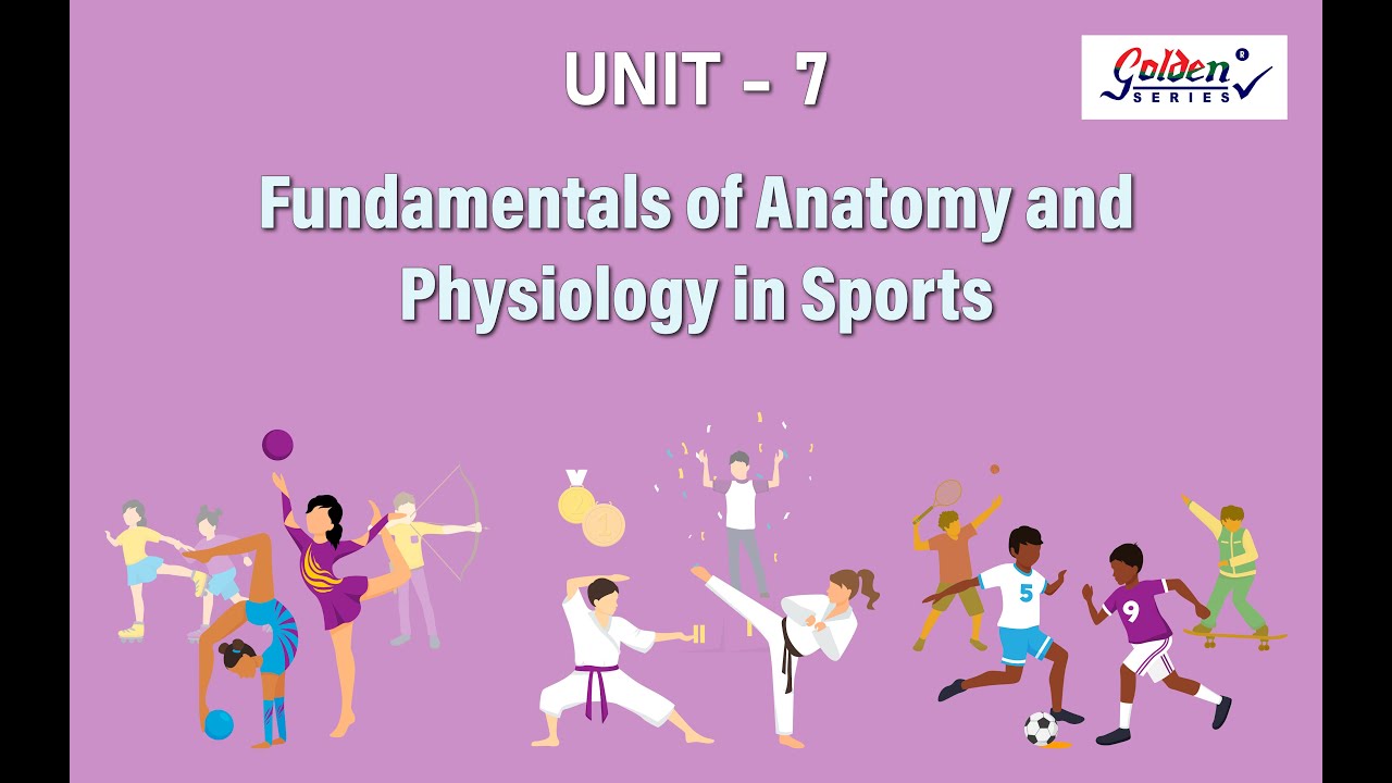 Fundamental of Anatomy & Physiology | Class 11 | Physical Education ...
