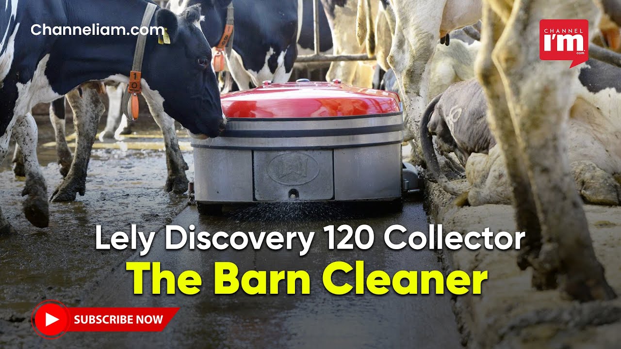 Meet the Future of Barn Hygiene: The Lely Discovery 120 Collector - YouTube