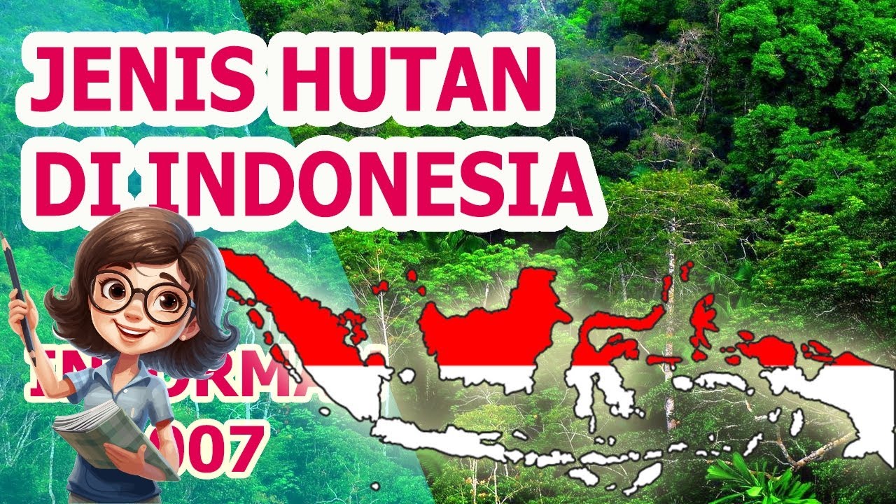 MENGENAL JENIS HUTAN DI INDONESIA - MATERI - YouTube