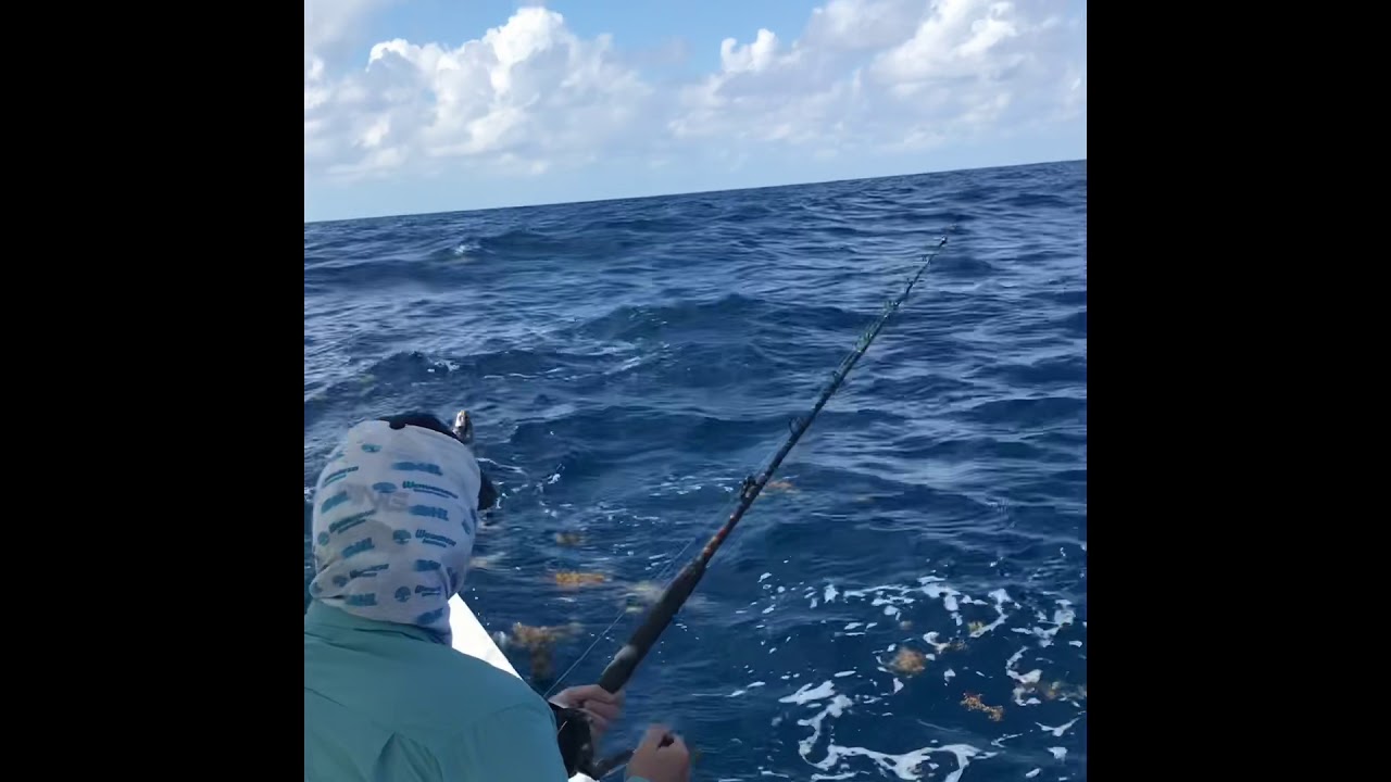 Fishing for Kings! Fishing Face-Off Stooge Perfect Edition! - YouTube
