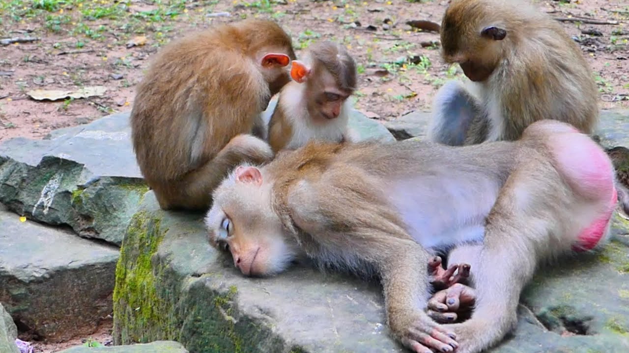 Did Libby sleep in a strange dream, so she woke up scared and hugged her children😍🙈🛌 - YouTube