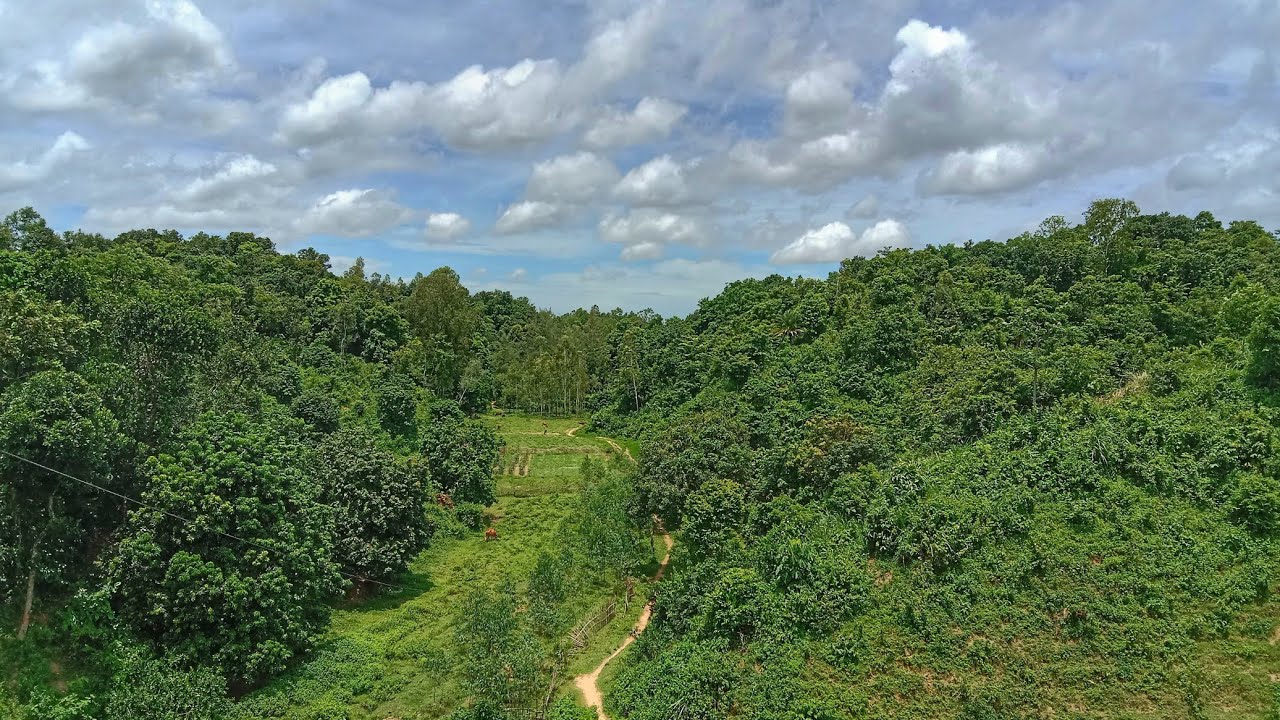 One day in the hills of Banskhali-বাঁশখালীর পাহাড়ে একদিন🖤🇧🇩 #hills # ...