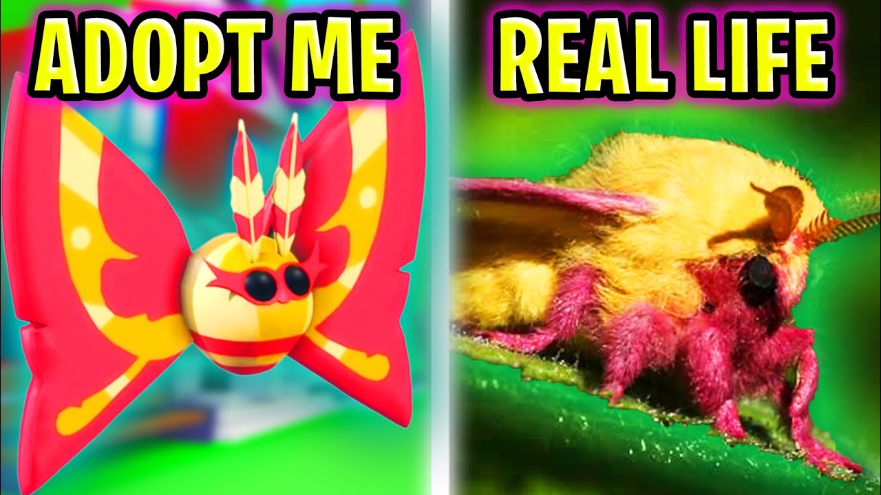 ADOPT ME GARDEN PETS VS REAL LIFE!! - YouTube