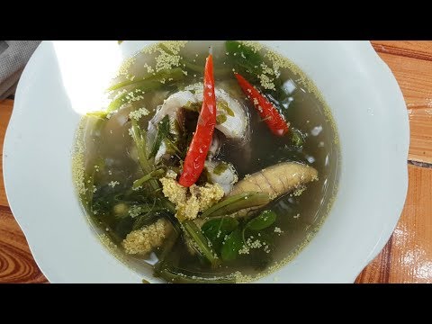 Awesome cooking fish with water convolvulus recipe - Beautiful girl cooking - Village food factory