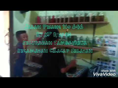 BANANA BETTA FISH - FARM CILACAP - YouTube