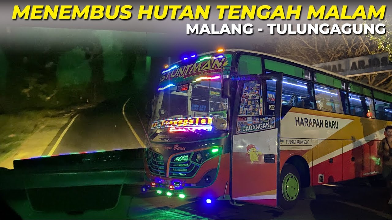 SATU SATUNYA BUS RUTE TRENGGALEK BANYUWANGI | Bus Harapan Baru Non AC ...