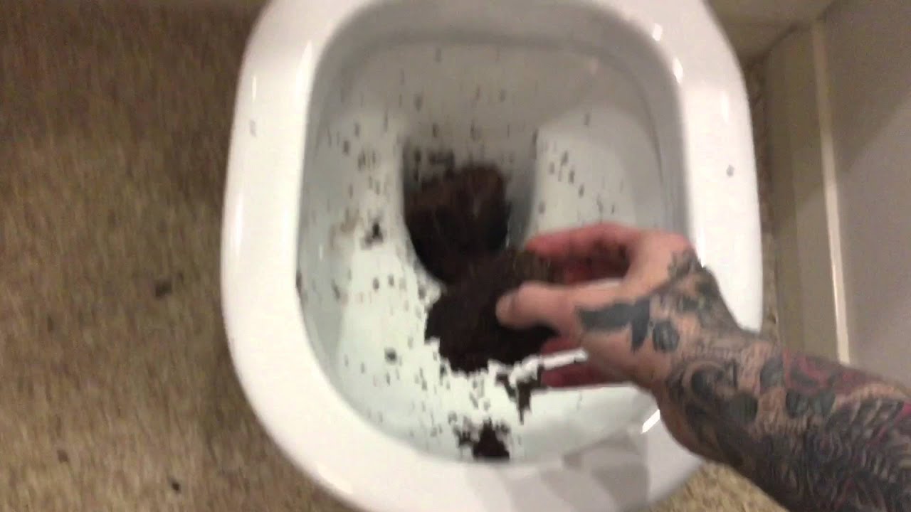 HAPPY NEW YEAR/ TOILET CAKE | LukeandBradYeah - YouTube