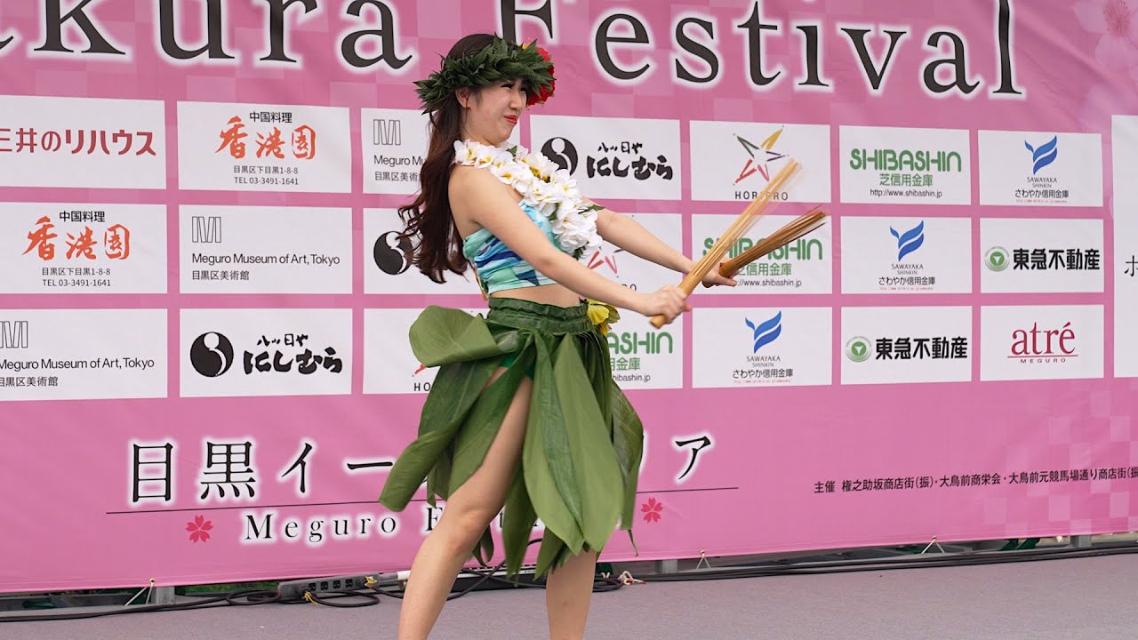 桜まつりの華やかなHULAダンス！ Beautiful Hawaiian Hula Dance with Pu'ili Bamboo ...