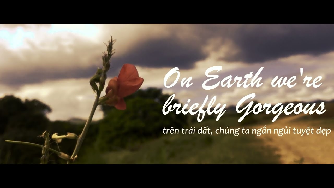 TRAILER | ON EARTH WE'RE BRIEFLY GORGEOUS by: Ocean Vuong - YouTube