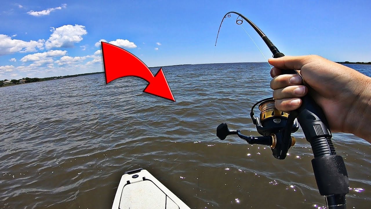 GIANT Fish Kicks My Butt Kayak Fishing In The Marsh! - YouTube