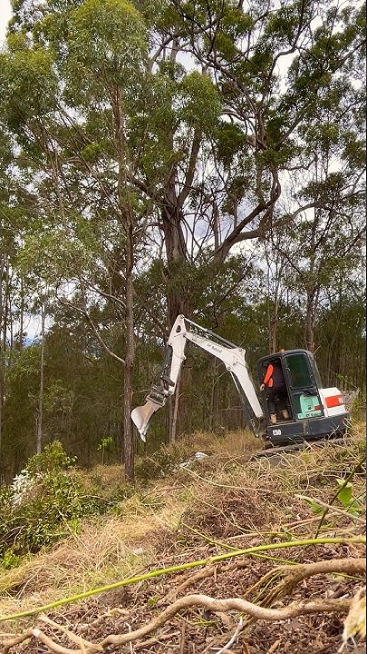 Awesome! Excavator Pushing Tree Over in the Australian Bush!! - YouTube