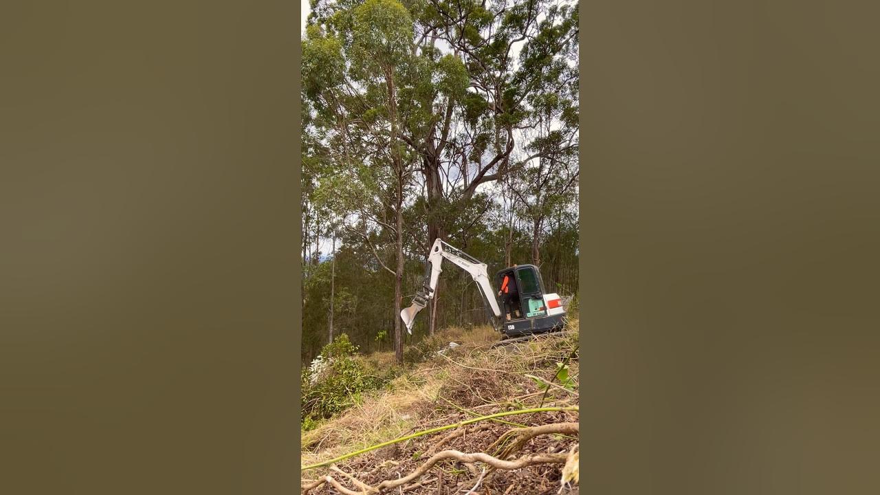Awesome! Excavator Pushing Tree Over in the Australian Bush!! - YouTube