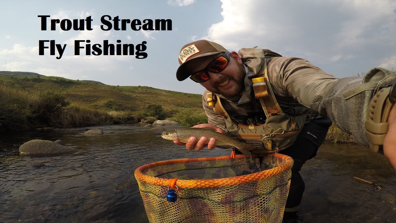 Trout Stream Fly Fishing in South Africa - YouTube