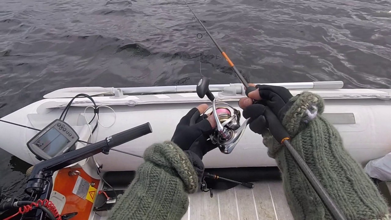 Lots of Pike Graphiteleader Tiro Prototype Gotps 772M-T - YouTube